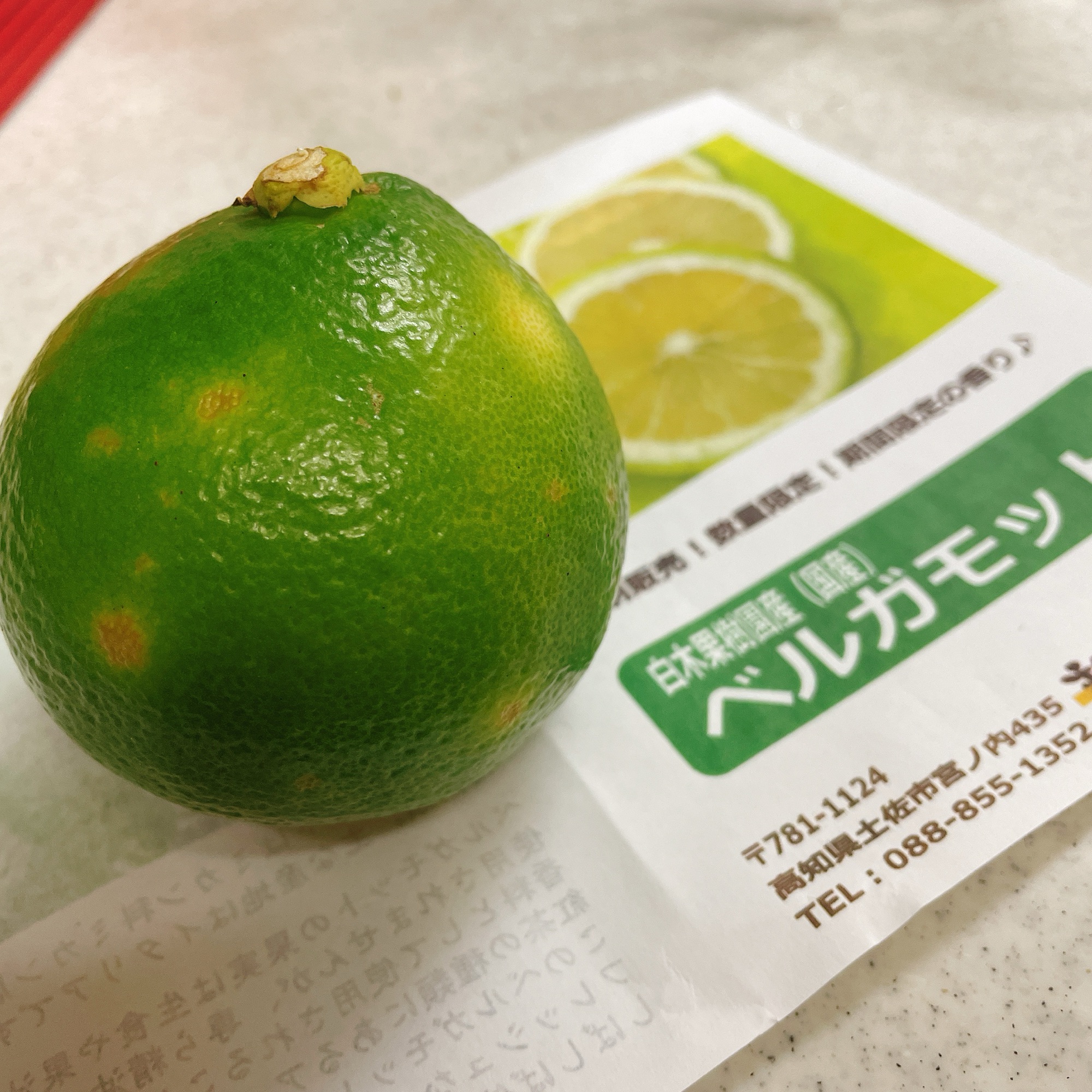 国産ベルガモット浸出油とシロップ漬け | 香川県高松市アロマ資格取得スクール｜アロマ環境協会AEAJ資格講座｜独起業開業｜費用｜高松自然療法サロン｜